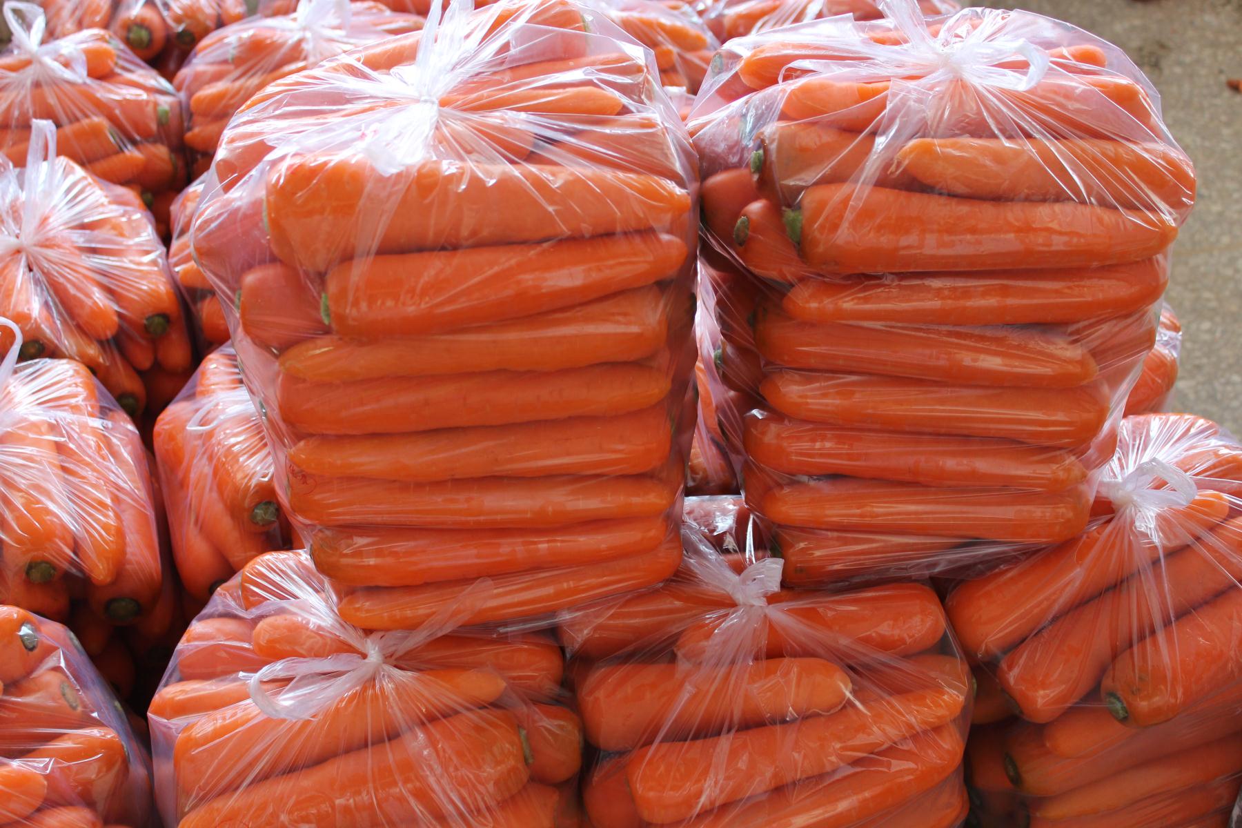 Carrots for Export – VFood Industries LTD